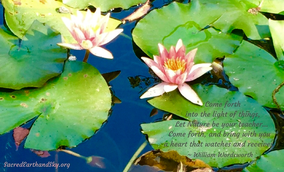 Into the Light of Things